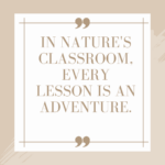 17 Best Summer Camp Quotes