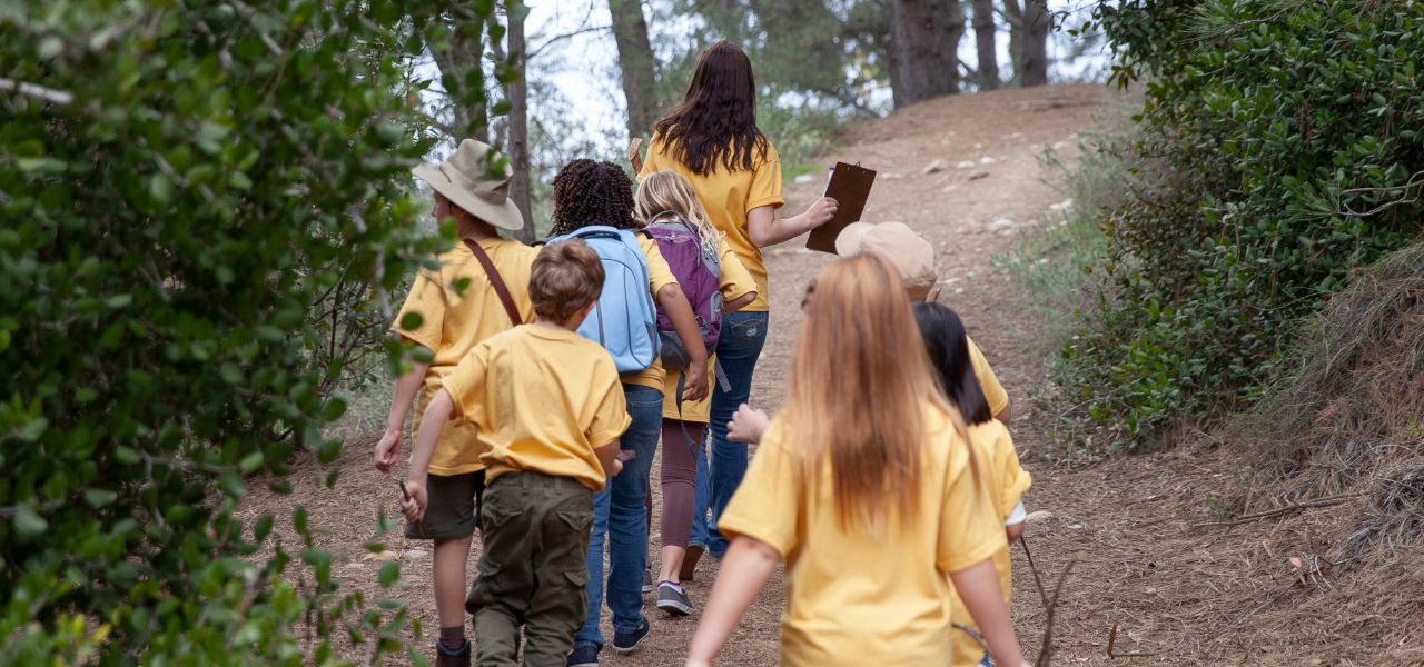 How to Start and Run a Summer Camp: Step-by-Step Guide
